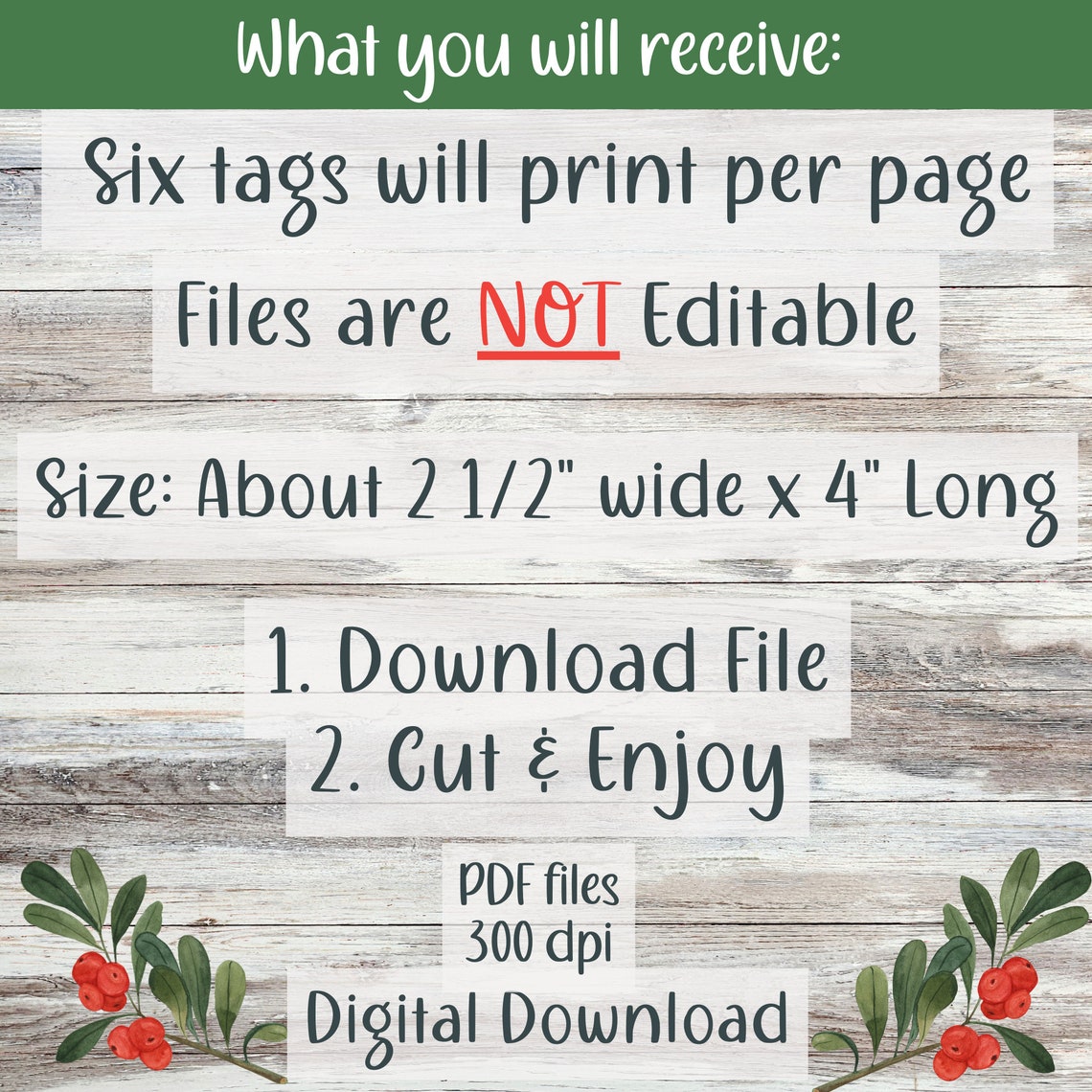 Santa's Magic Key Tag| Christmas Eve Box Filler| Magical Christmas Key ...