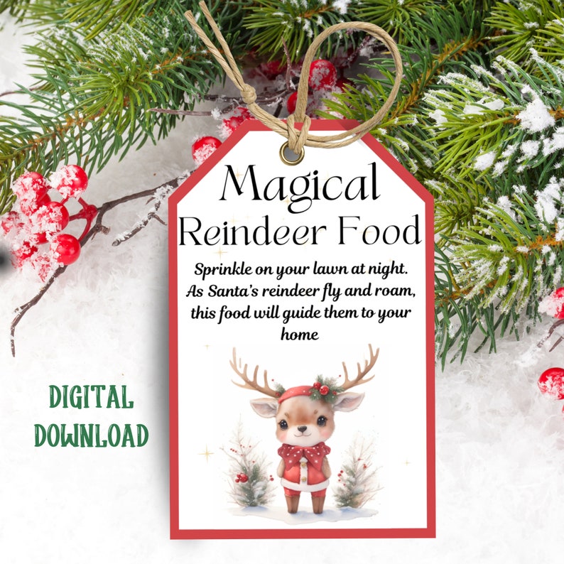 Magic Reindeer Food Tag: Christmas Eve Box Filler (PDF) - Etsy