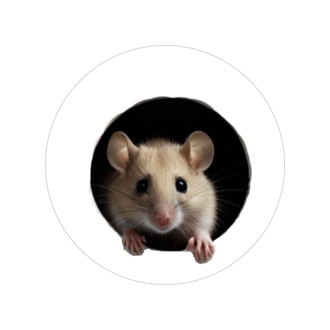 Cute Mouse Hole Outdoor Sticker, Adorable Car Decal, Perfect for Animal ...