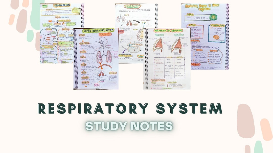 Biology Notes respiration Aesthetic Handwritten Notes - Etsy