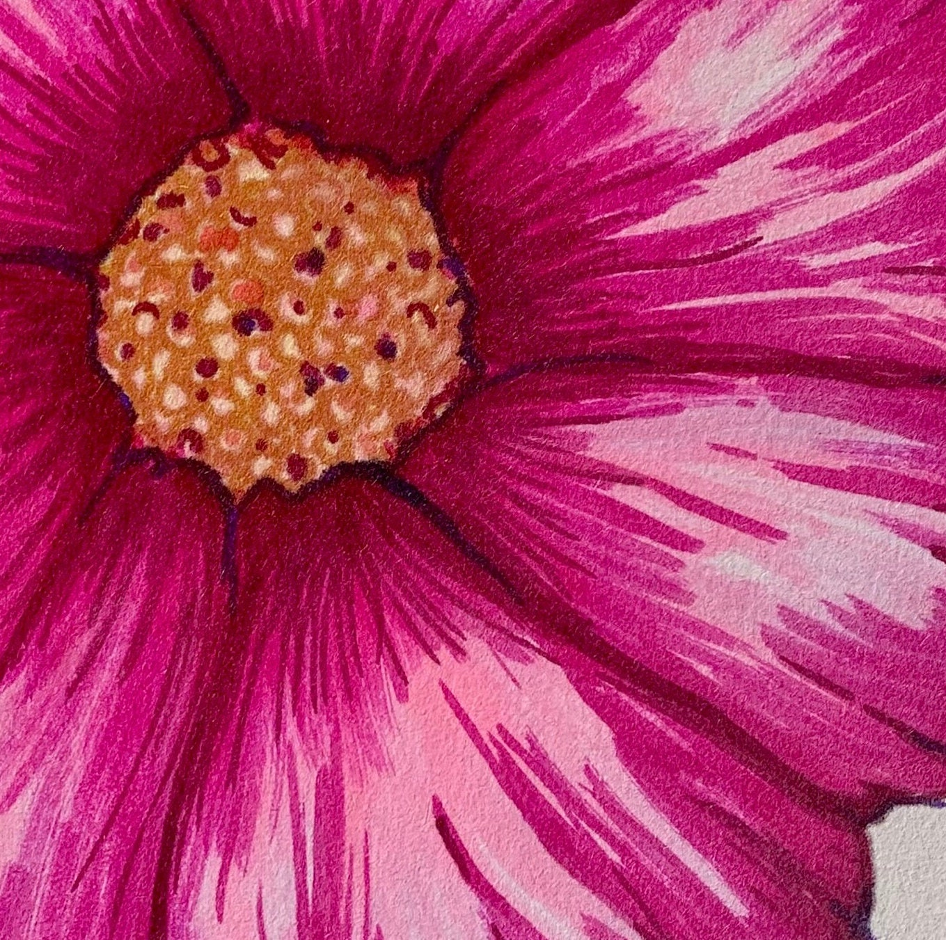 Fuscia Flower Marker Drawing - Etsy