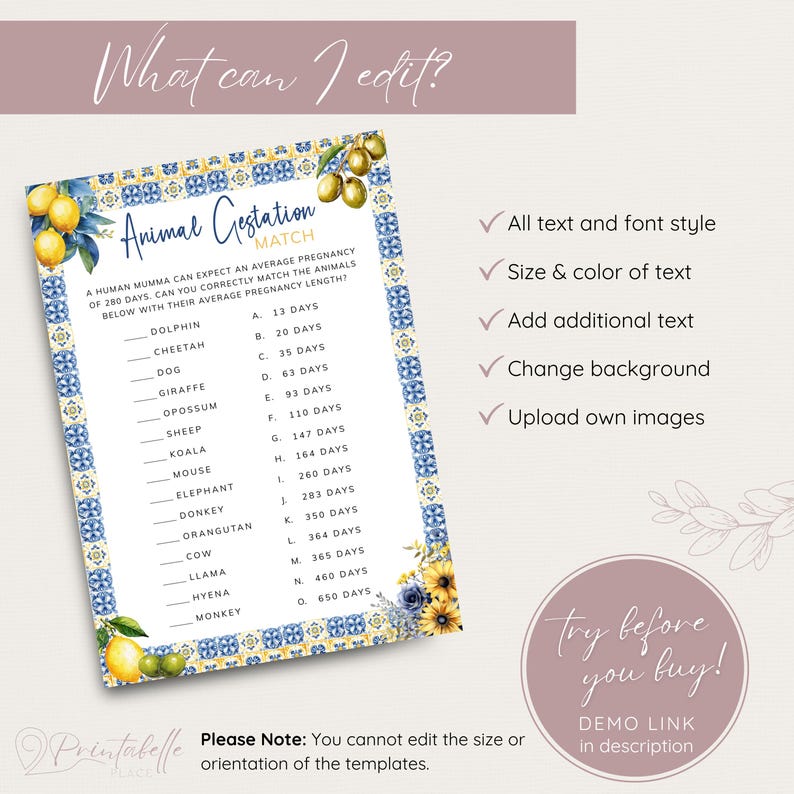 Ciao Bambino Baby Shower Games Bundle, Amalfi Coast Theme Activity Pack ...