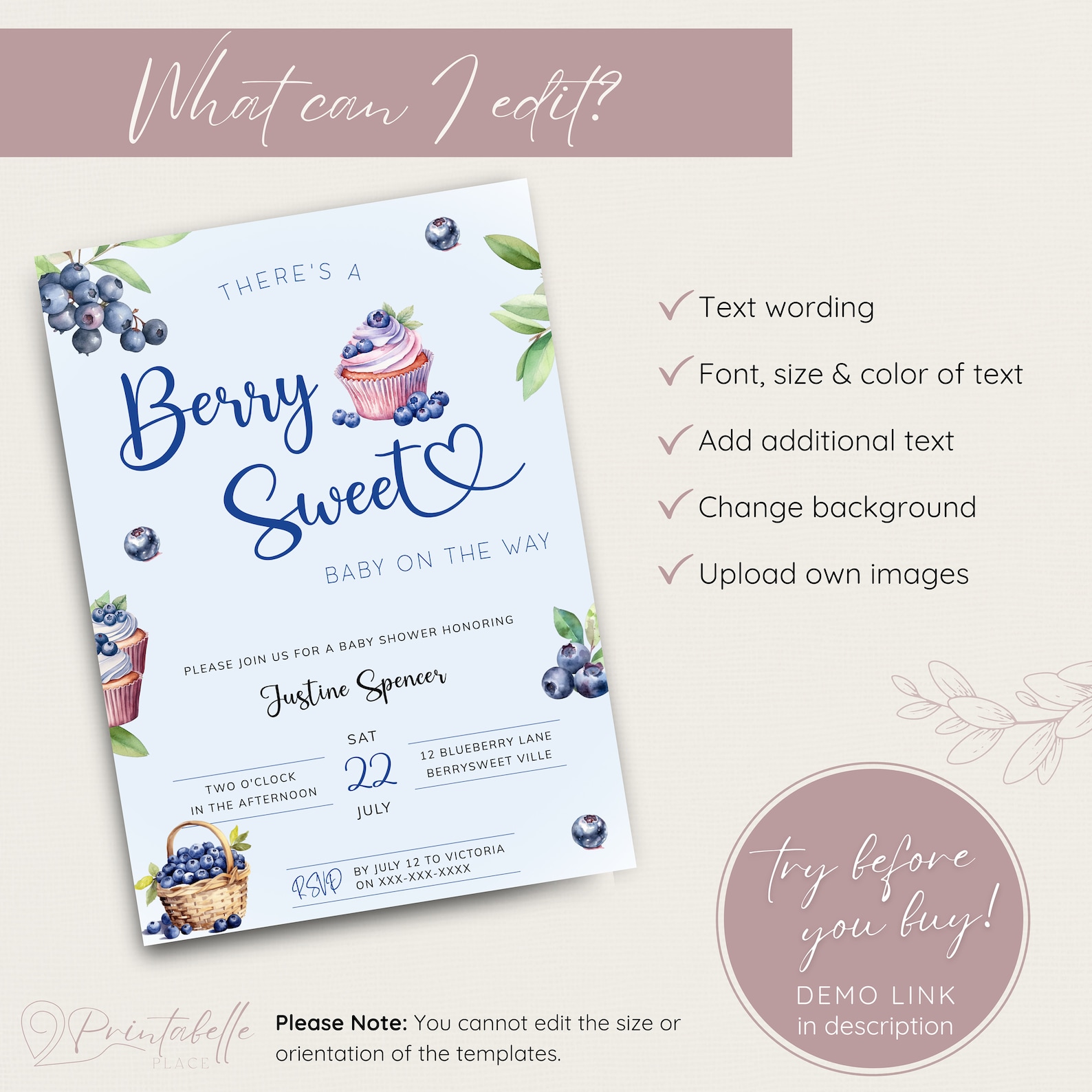 Blueberry Baby Shower Bundle, Berry Sweet Baby is on the Way Mega Pack, Fruit Themed Bright Blue ...