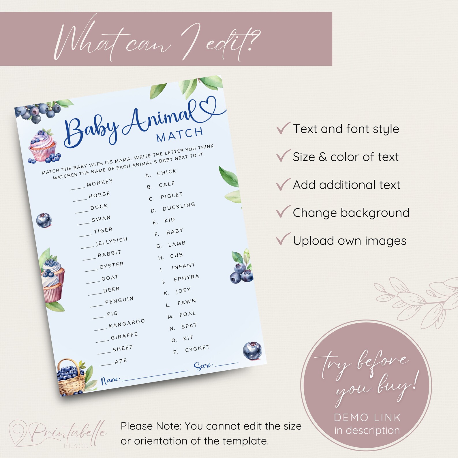 Blueberry Baby Animal Match Game, Berry Sweet Baby Shower Game, Who is ...