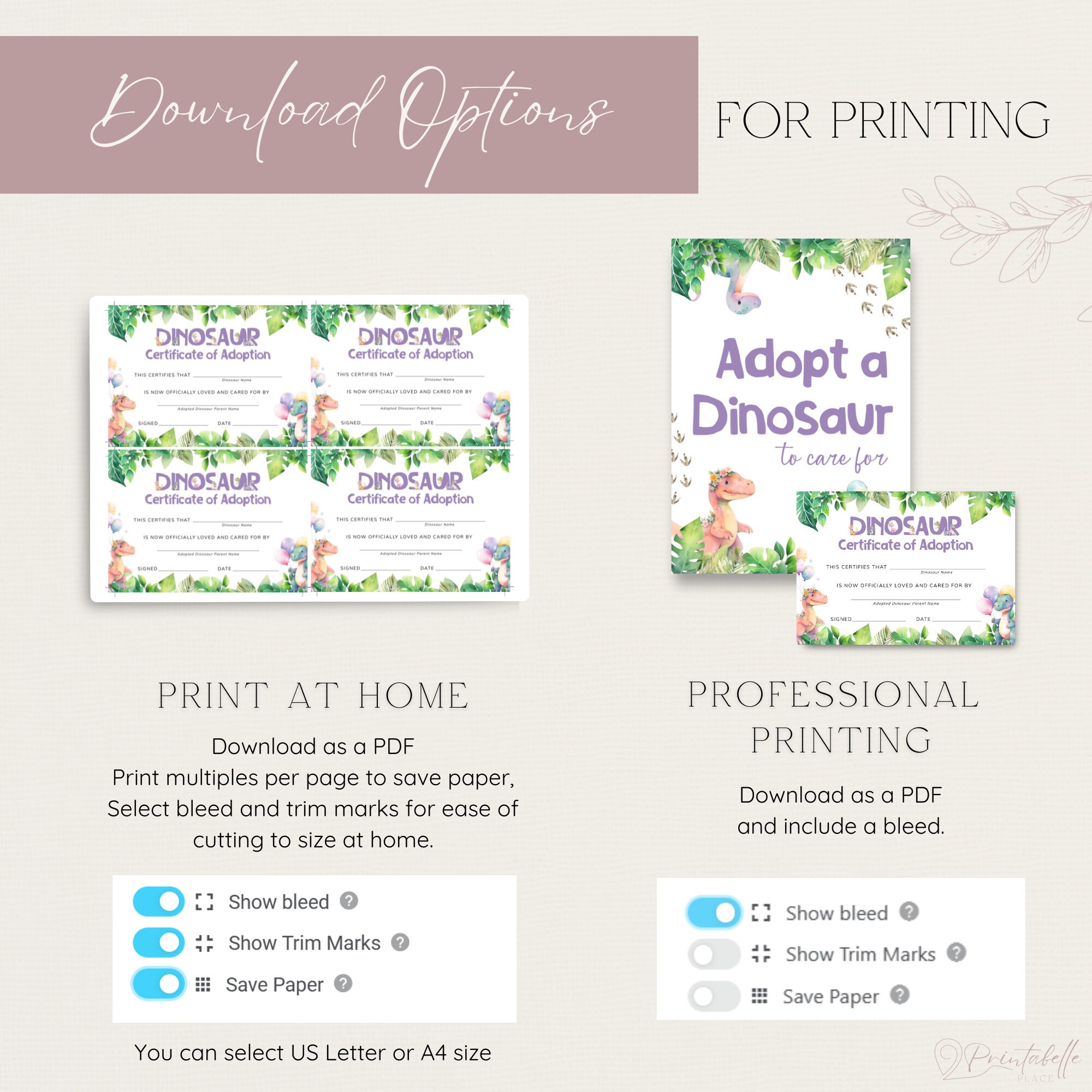 Adopt A Dinosaur Certificate and Sign for Your Pastel Dino Birthday ...