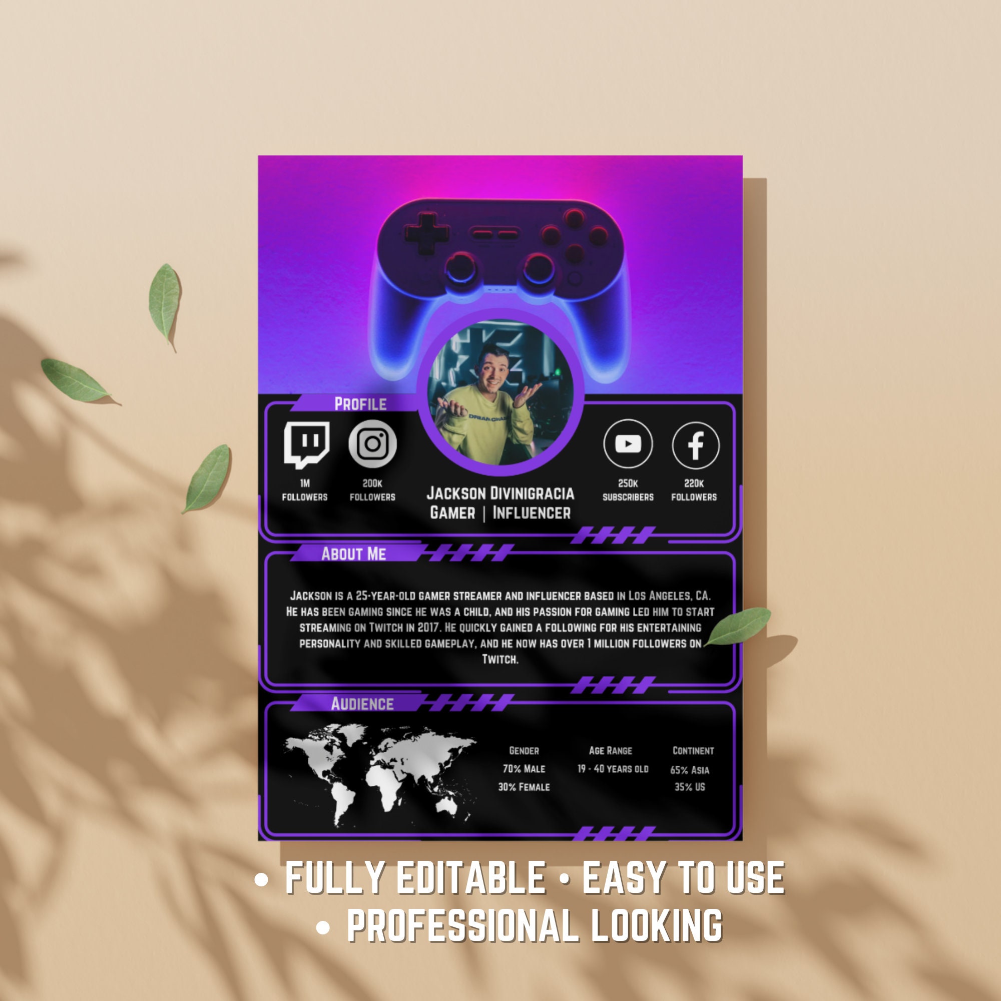 2 Page Media Kit & Rate Card, Gamer Media Kit, Influencer, Content ...