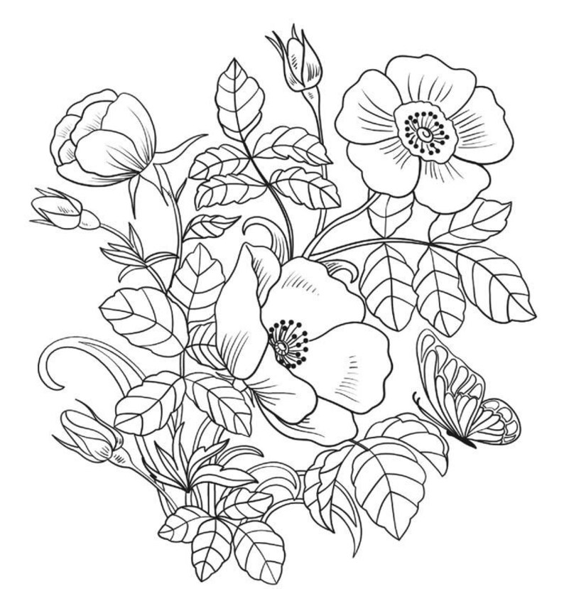 Botanical Dreams: Embellishing a Delicate Flower Sketch for Colouring ...