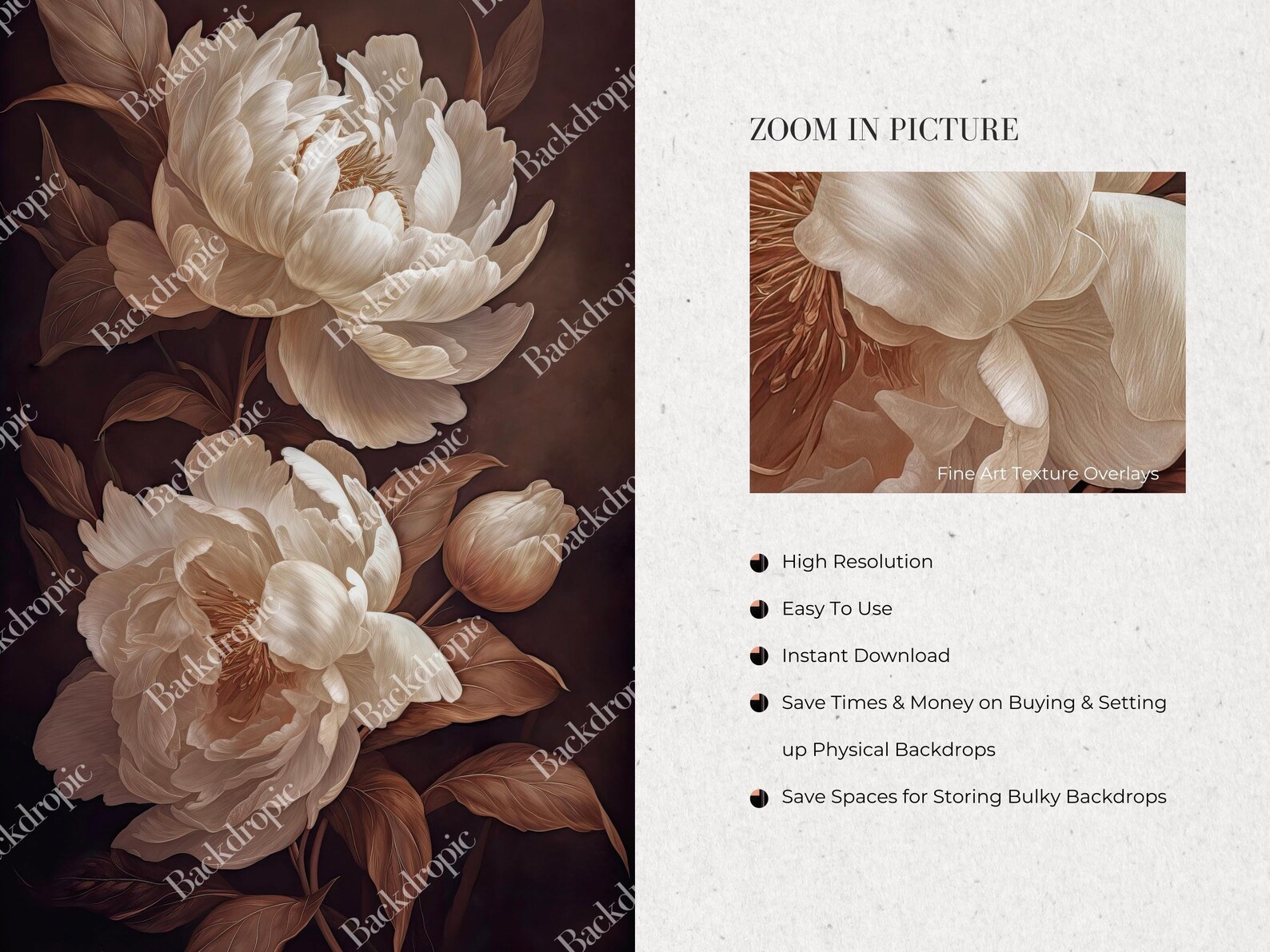 12 Beige Floral Digital Backdrop Overlays Maternity Digital Overlay ...
