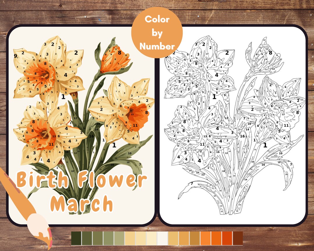 March Birth Flower Color by Number, Daffodil Flower Paint by Number for ...