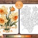 June Birth Flower Color by Number, Rose Paint by Number for Adult ...