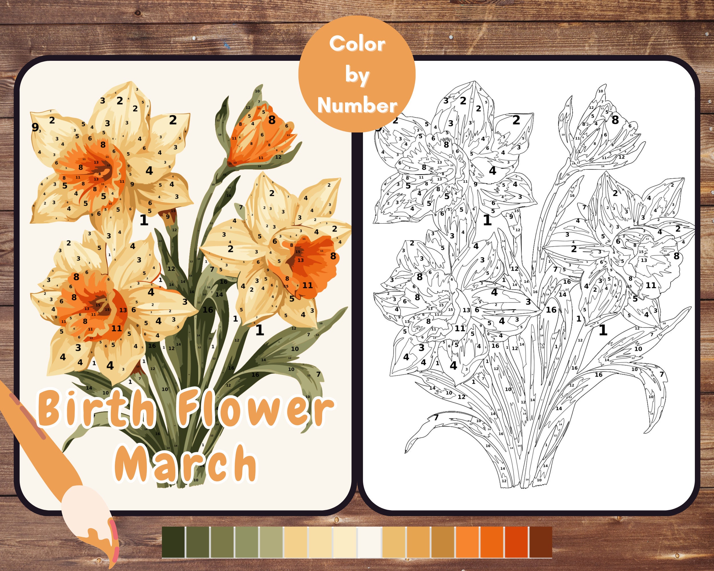 March Birth Flower Color by Number, Daffodil Flower Paint by Number for ...