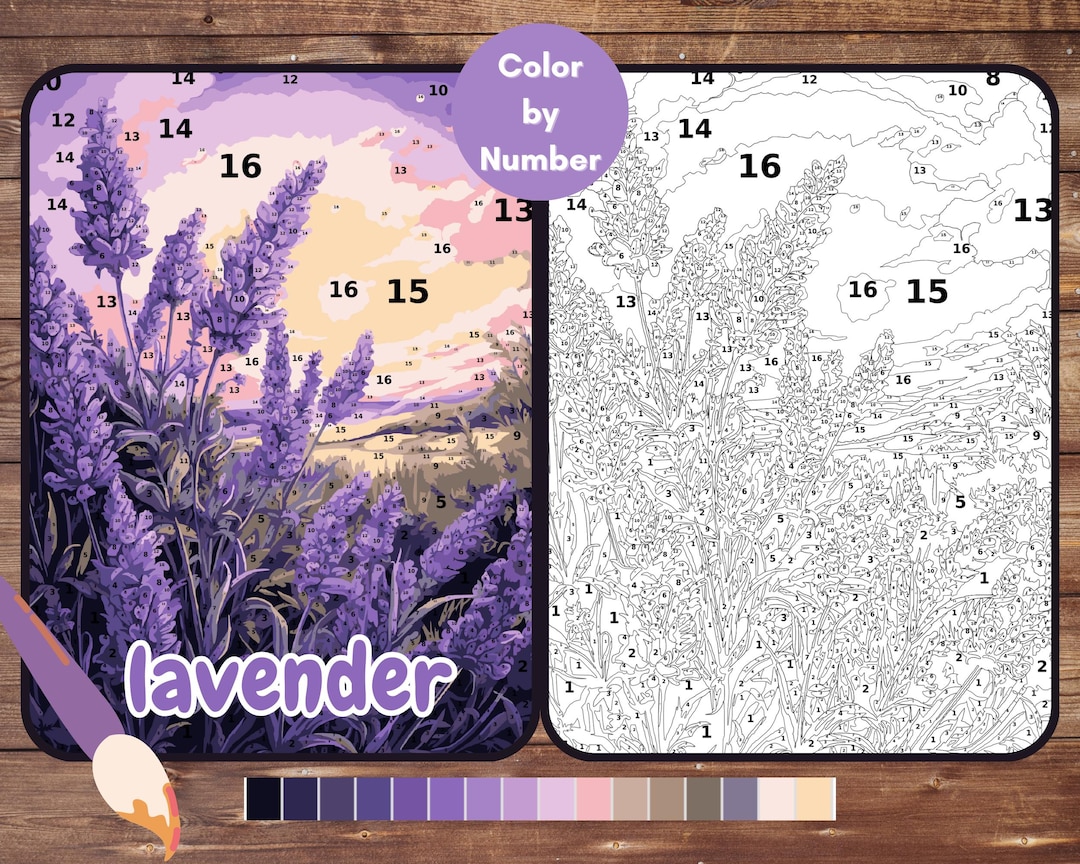 Color by Number for Adult, Lavender Paint by Number, Flower Printable ...