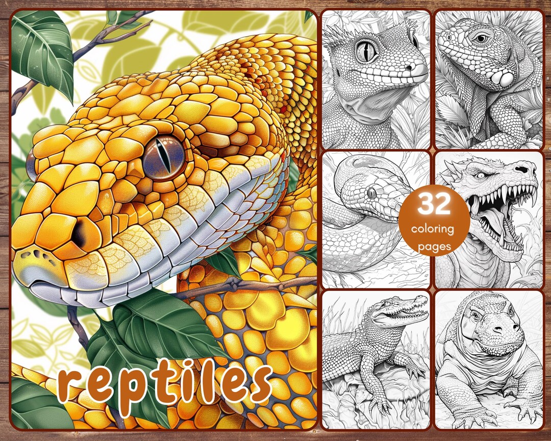 32 Reptiles Coloring Pages, Grayscale Lizards Snakes Geckos Coloring ...