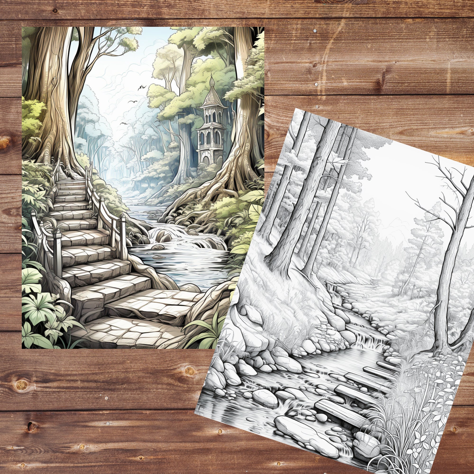 31 Magical Forest Coloring Book, Enchanted Forest, Secret Garden ...