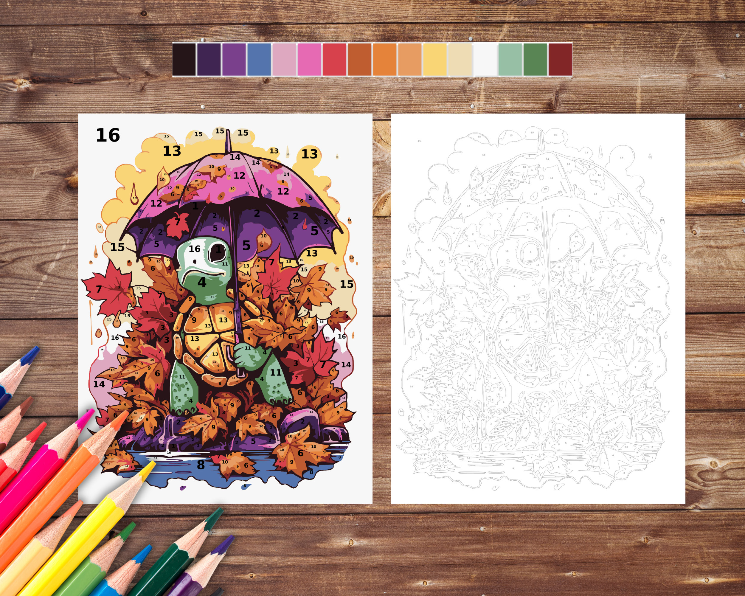 Color by Number for Adults, Turtle Paint by Number, Umbrella, Printable ...