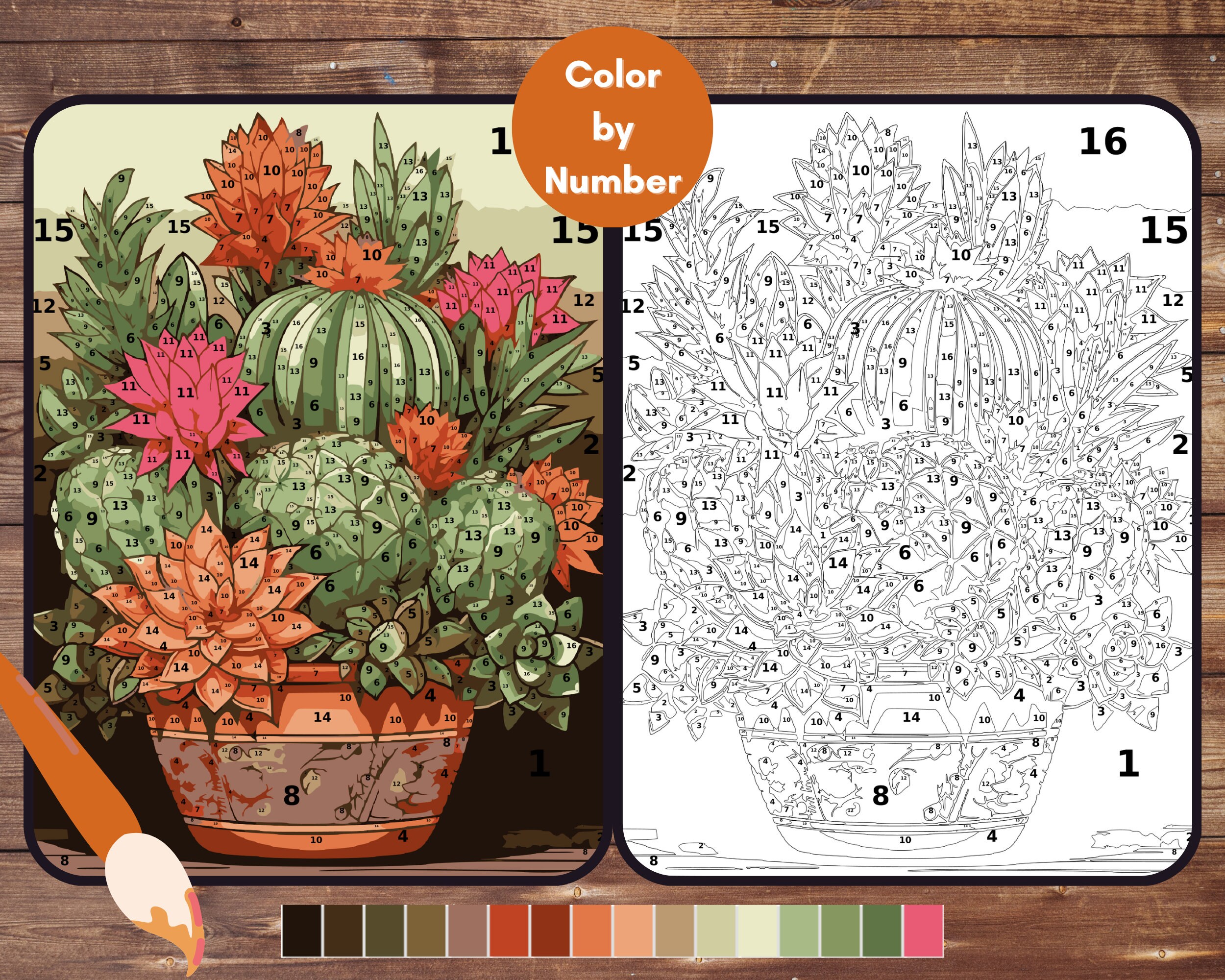 Color by Number for Adult, Cactus Succulent Paint by Number, Printable ...