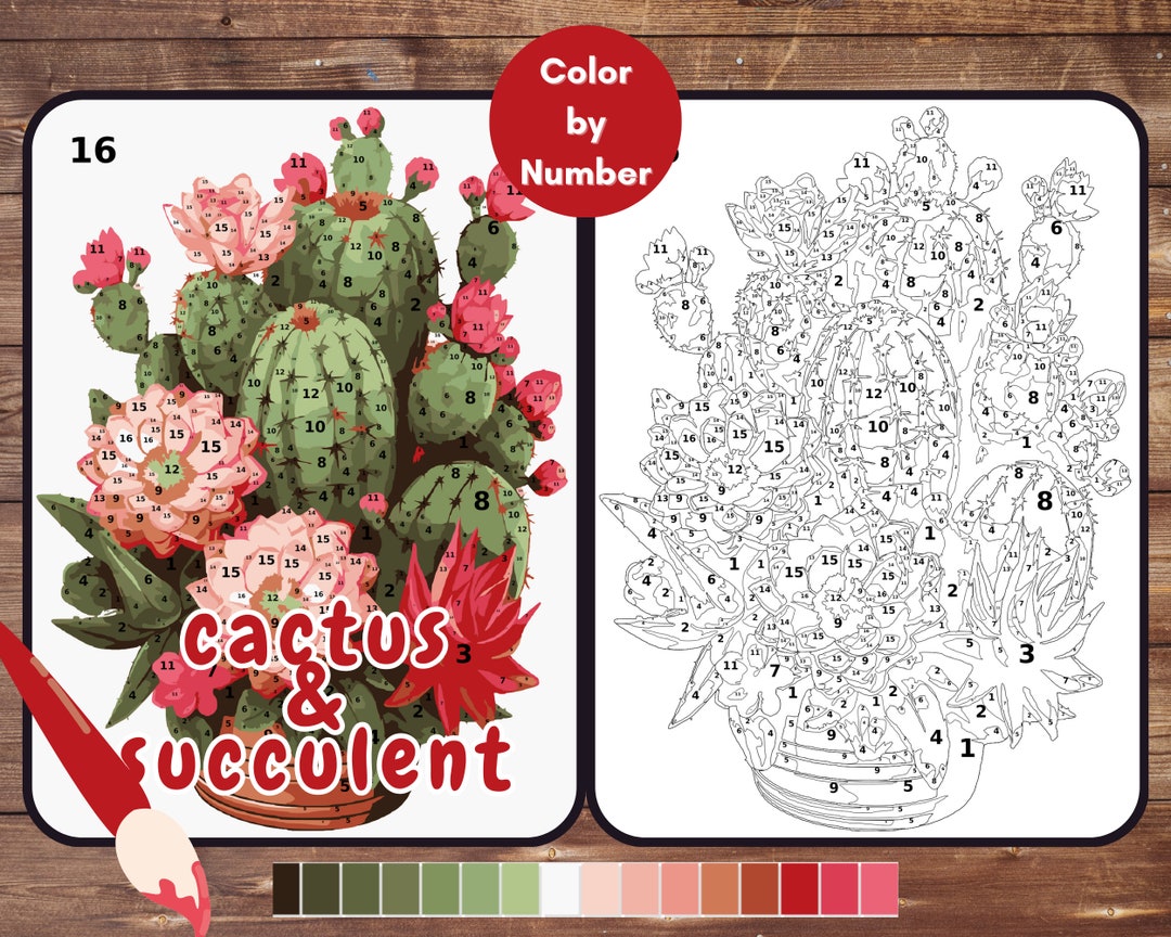 Color by Number for Adult, Cactus Succulent Paint by Number, Printable ...
