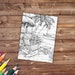 120 4 Seasons Bundle Coloring Book, Grayscale Winter Spring Summer ...