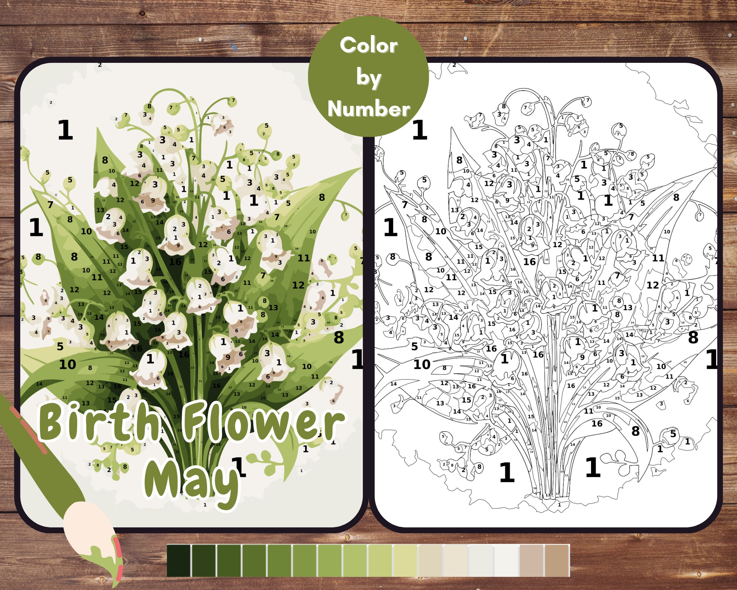 May Birth Flower Color by Number, Lily of the Valley Paint by Number ...