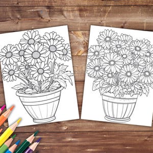30 Daisies Coloring Book, Grayscale Daisy Coloring Pages for Adults and ...