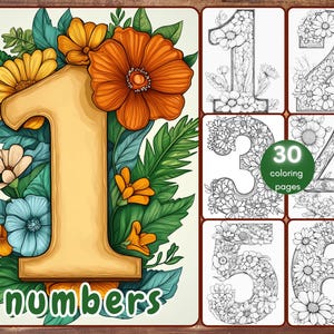 30 Numbers Coloring Book, Grayscale Numbers Coloring Pages for Adults ...
