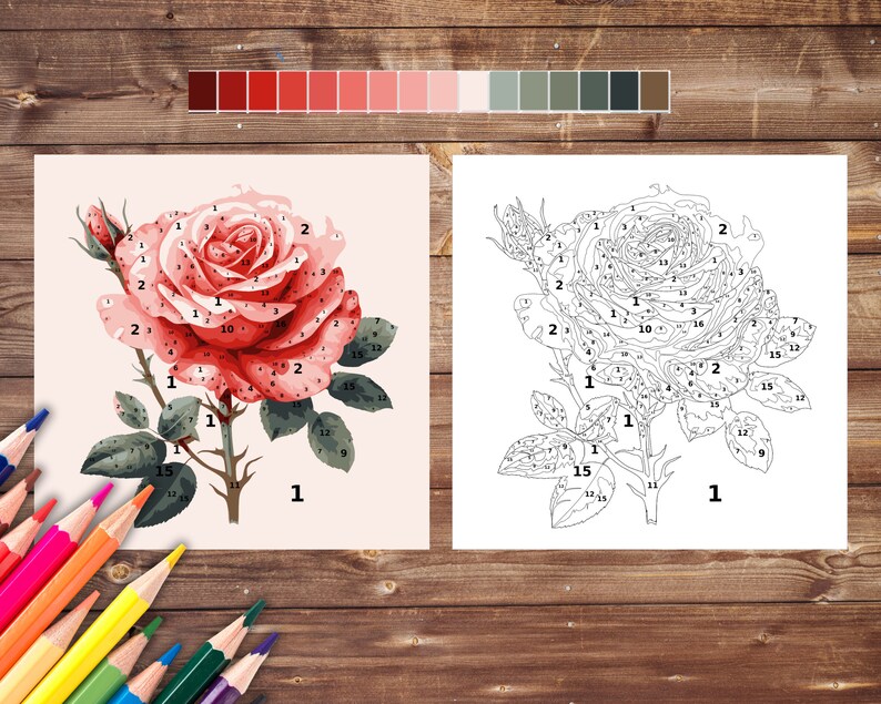 June Birth Flower Color by Number, Rose Paint by Number for Adult ...