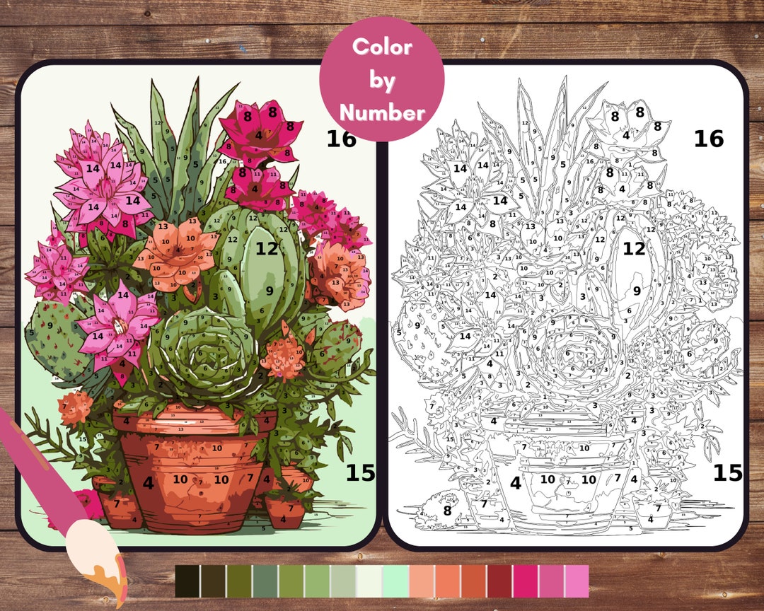 Color by Number for Adult, Cactus Succulent Paint by Number, Printable ...