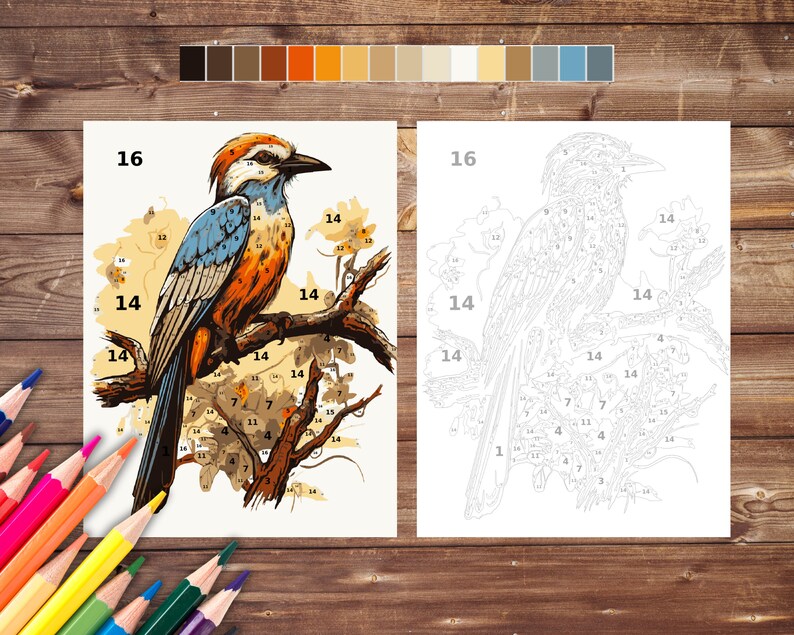 Parrot Color by Number for Adults, Bird Paint by Number, Printable ...