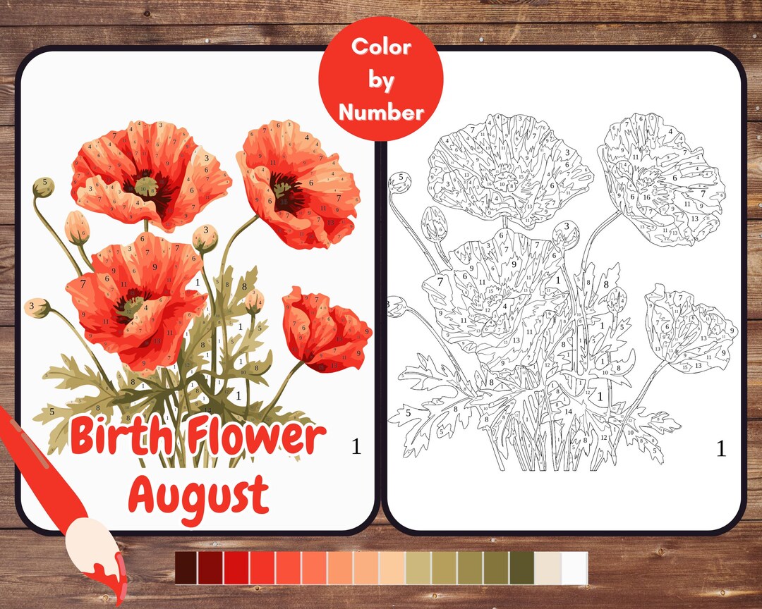 August Birth Flower Color by Number, Poppy Flower Paint by Number for ...