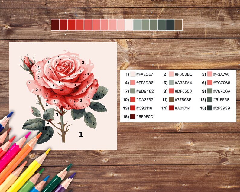 June Birth Flower Color by Number, Rose Paint by Number for Adult ...