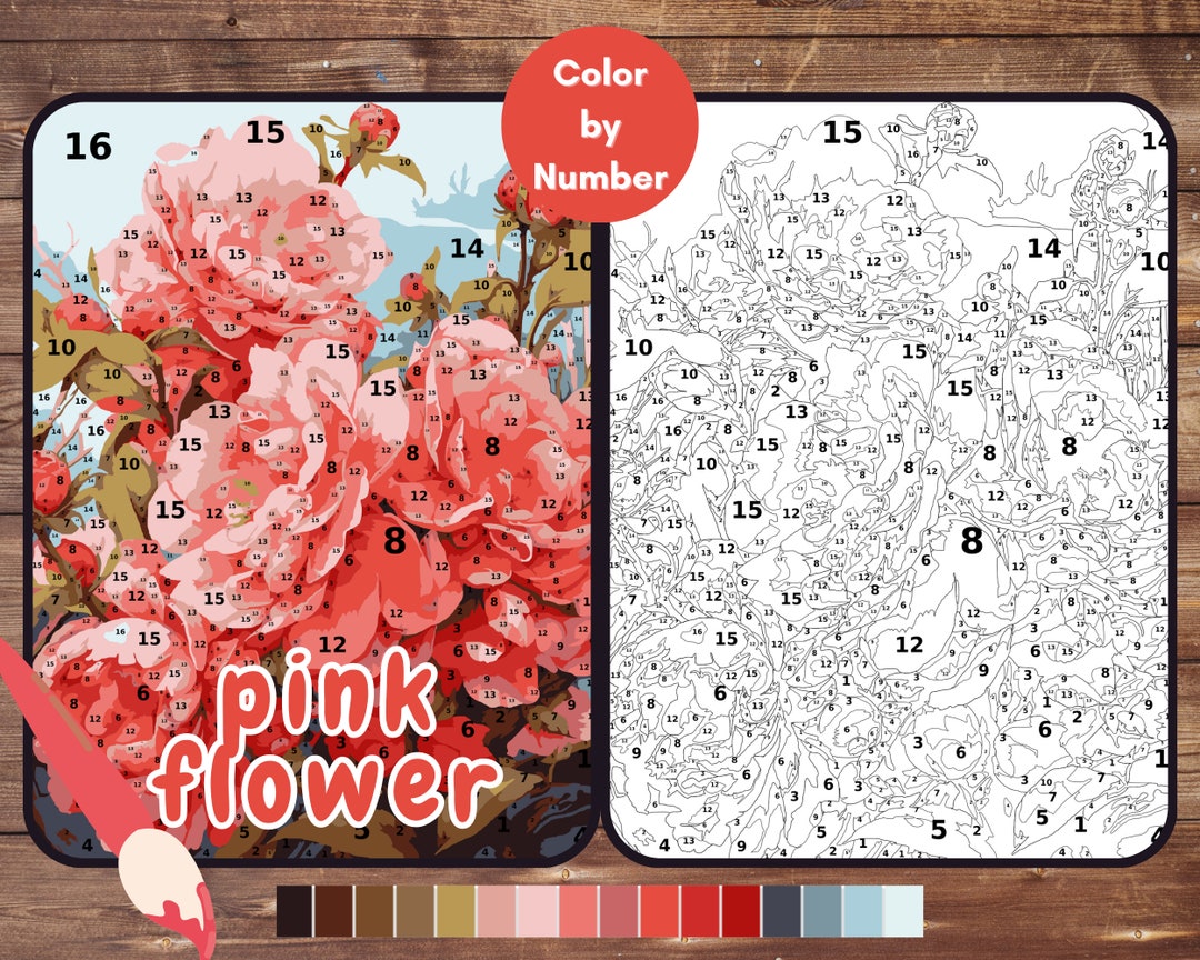 Color by Number for Adult, Pink Flower Paint by Number, Printable ...