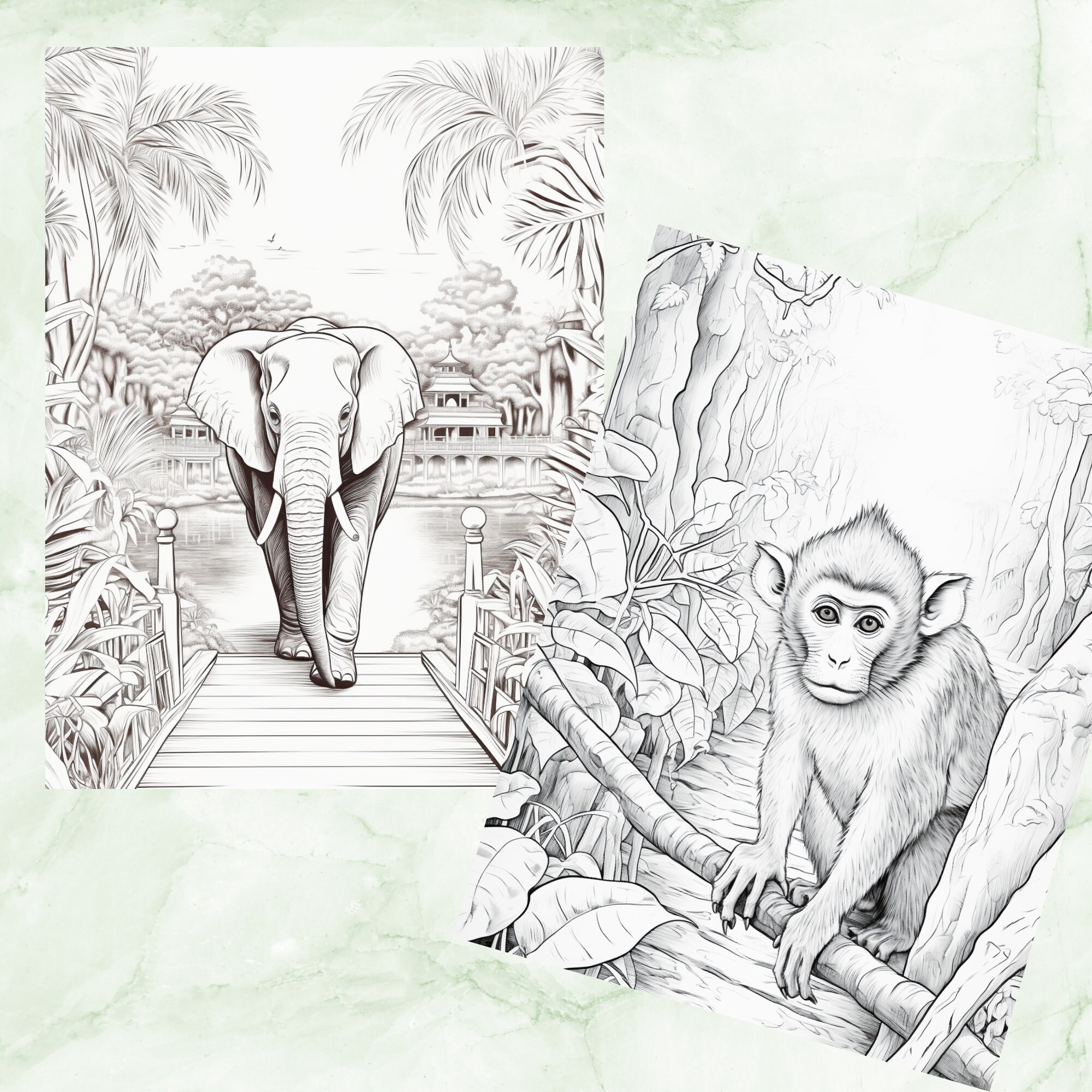 30 Bali Coloring Book, Grayscale Travel Destinations Coloring for ...