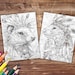 30 Native American Animals Coloring Book, Grayscale Fantasy Animals ...