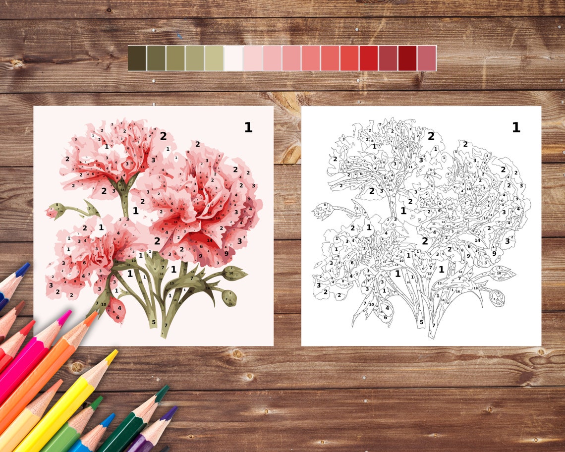 January Birth Flower Color by Number, Carnation Flower Paint by Number ...