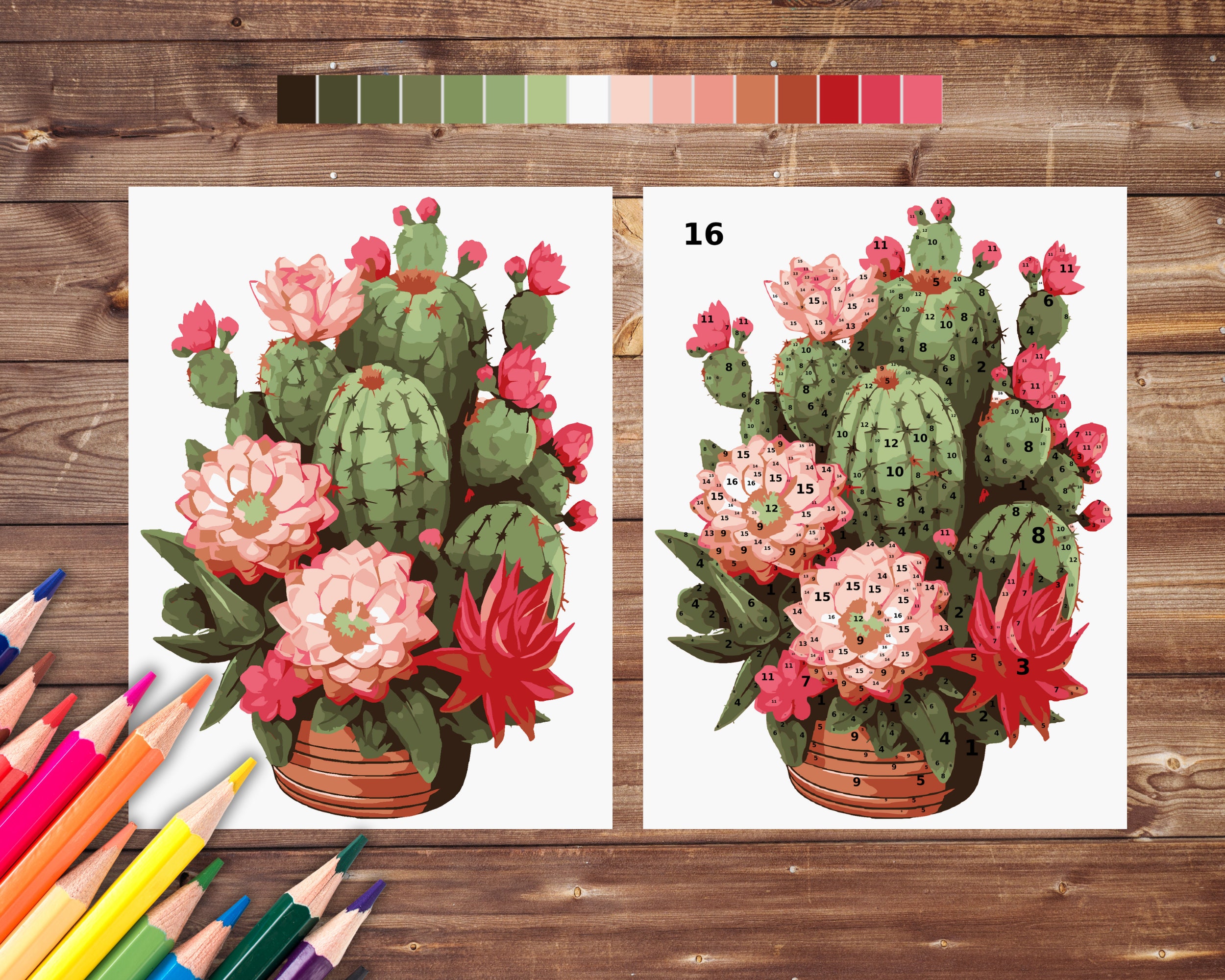 Color by Number for Adult, Cactus Succulent Paint by Number, Printable ...