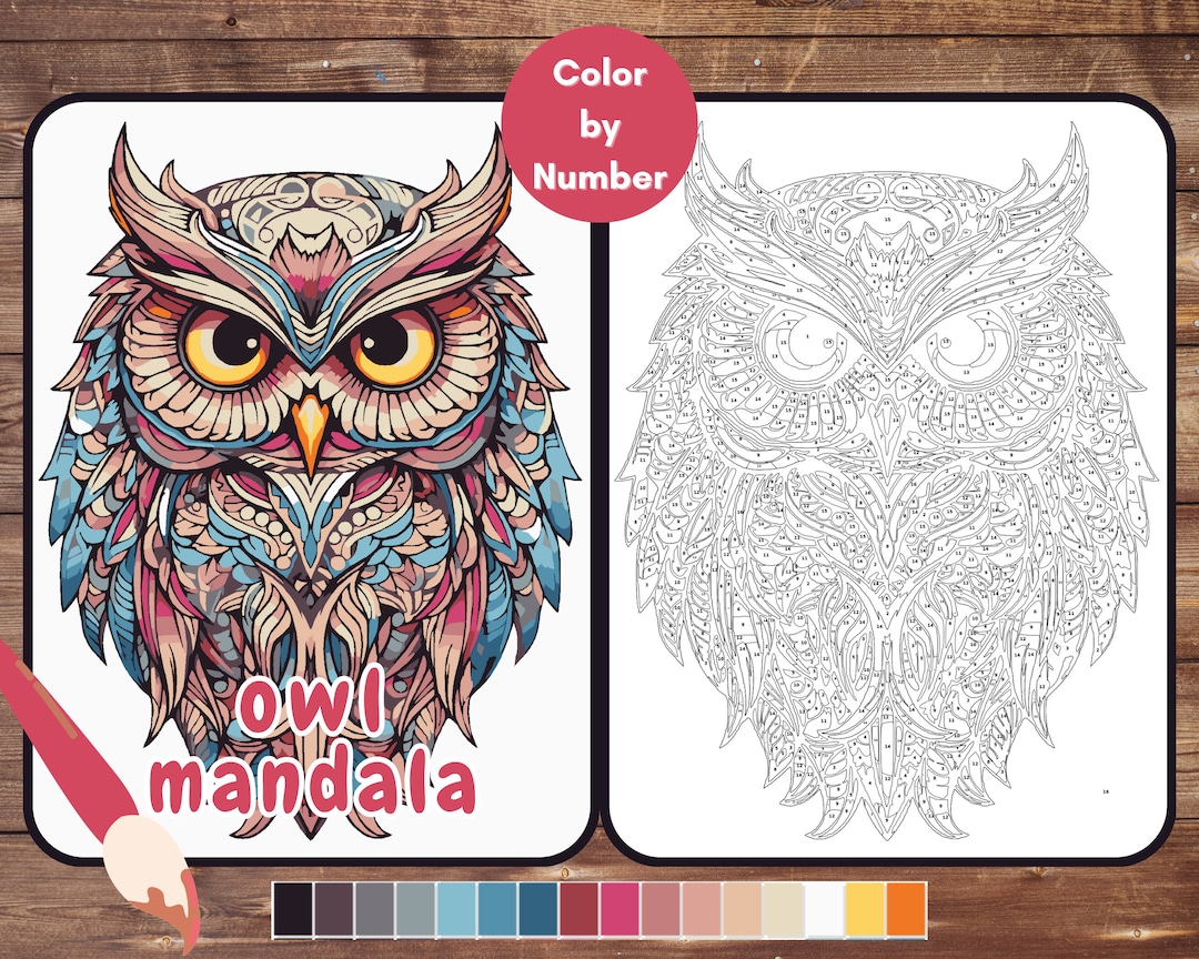 Color by Number for Adult, Owl Mandala Paint by Number, Printable ...