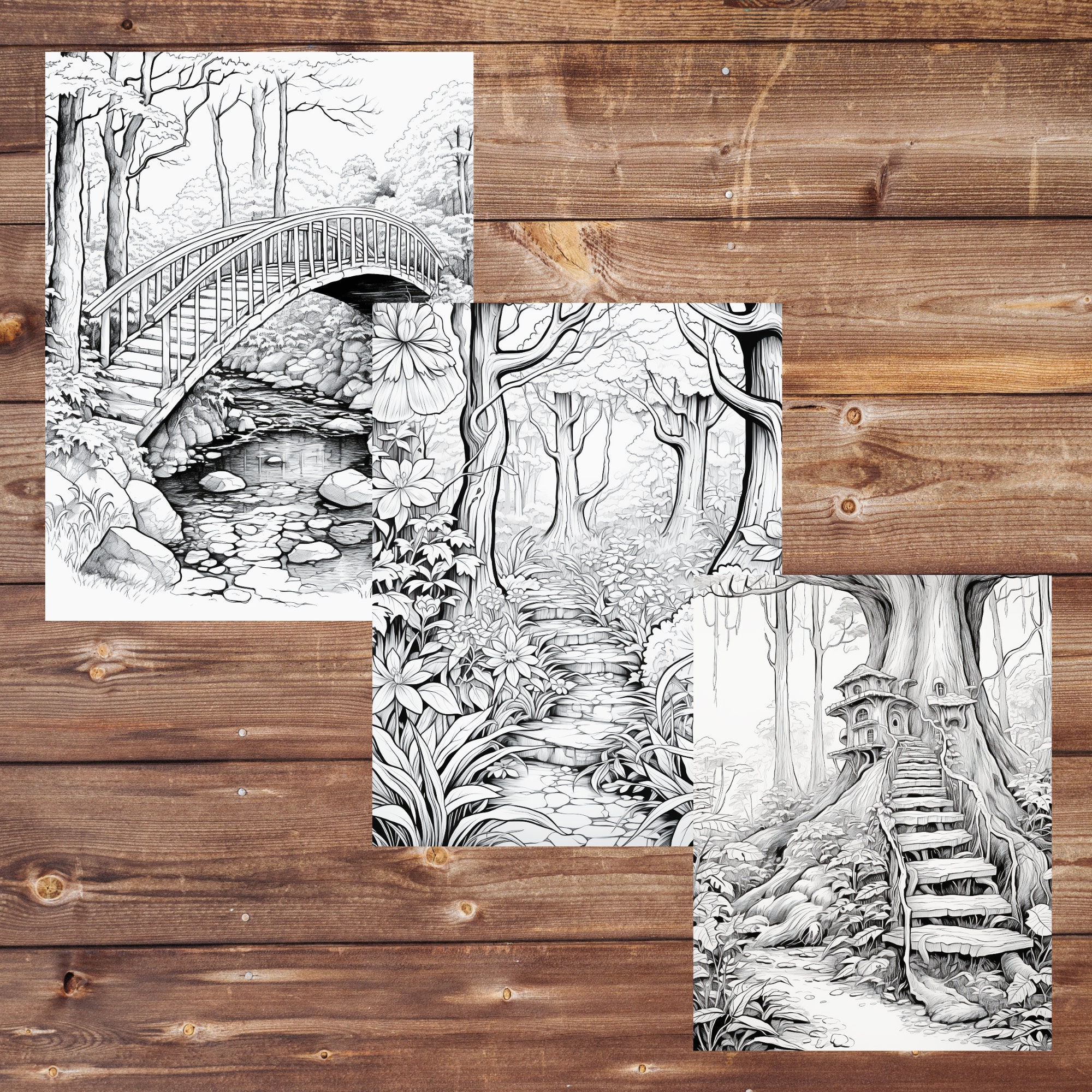 31 Magical Forest Coloring Book, Enchanted Forest, Secret Garden ...