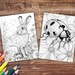 30 Spring Animals Coloring Book, Grayscale Animals and Flowers Coloring ...