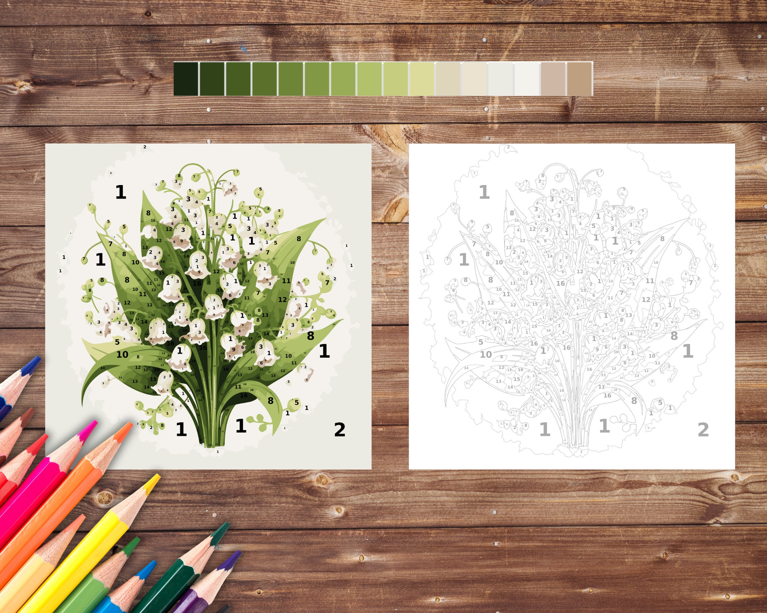 May Birth Flower Color by Number, Lily of the Valley Paint by Number ...