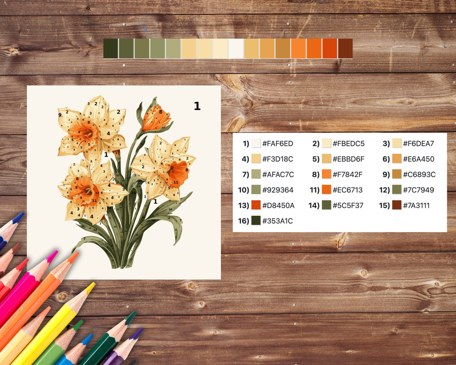 March Birth Flower Color by Number, Daffodil Flower Paint by Number for ...