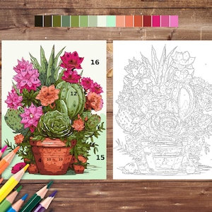 Color by Number for Adult, Cactus Succulent Paint by Number, Printable ...