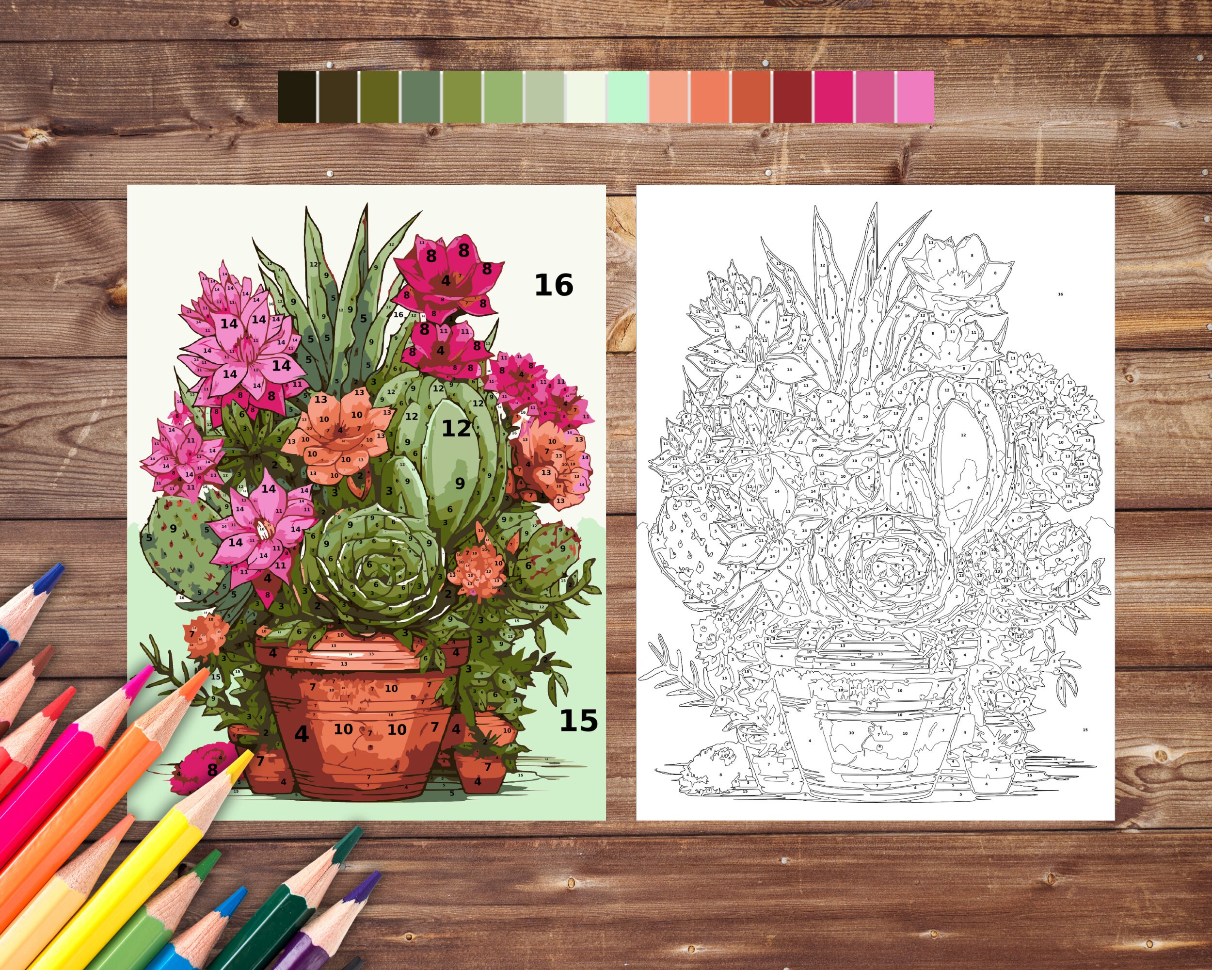 Color by Number for Adult, Cactus Succulent Paint by Number, Printable ...