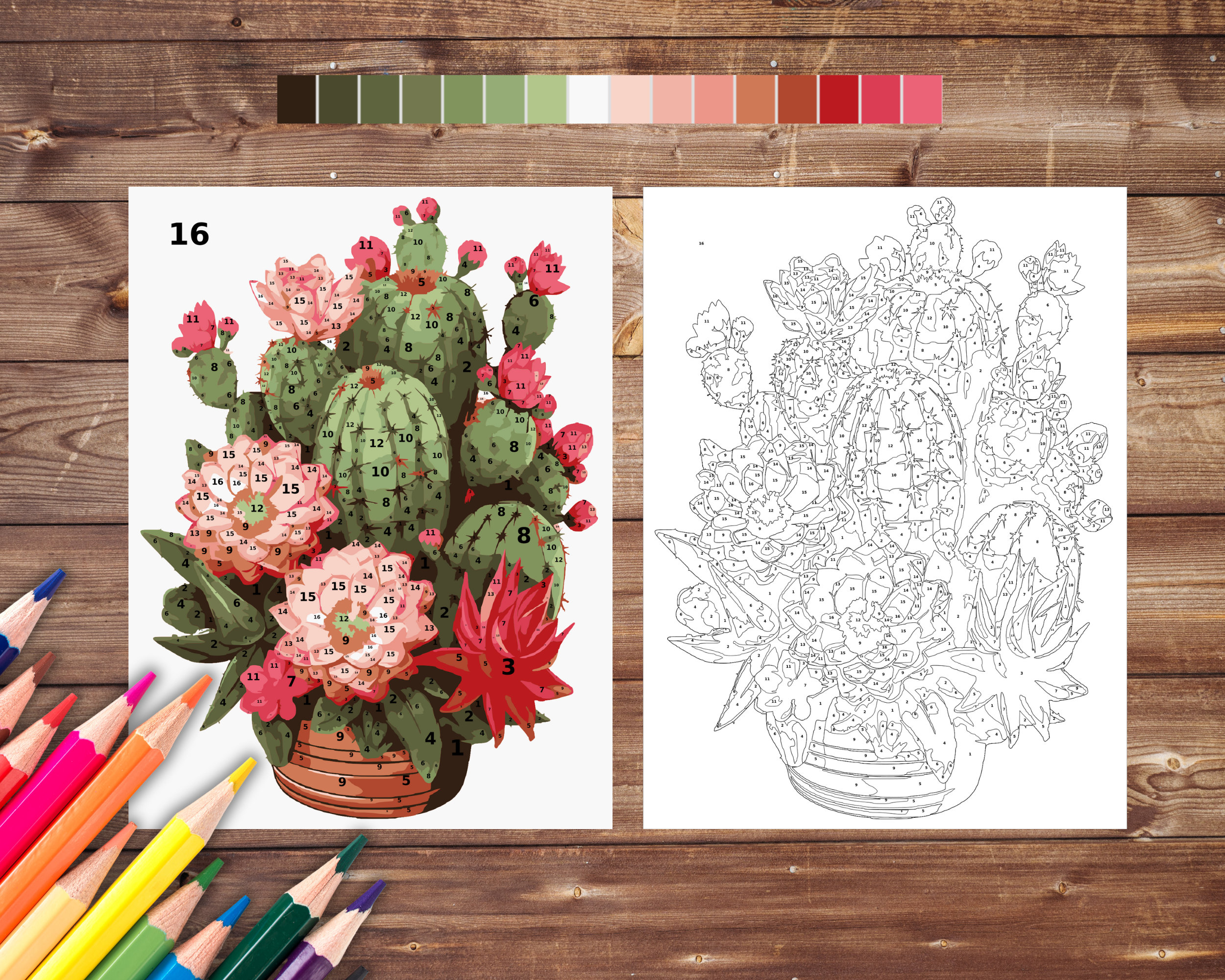 Color by Number for Adult, Cactus Succulent Paint by Number, Printable ...