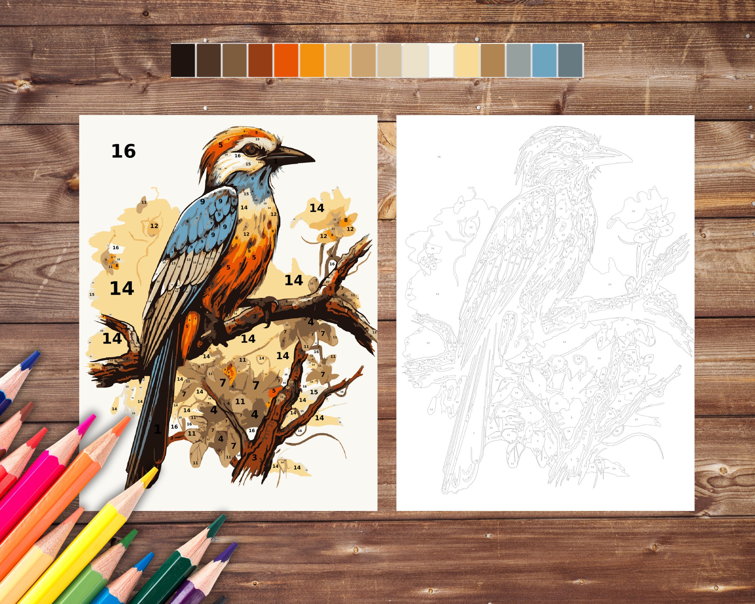 Parrot Color by Number for Adults, Bird Paint by Number, Printable ...