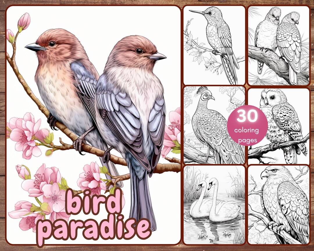 30 Bird Paradise Coloring Book, Grayscale Fantasy Birds Coloring for ...
