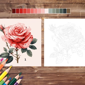 June Birth Flower Color by Number, Rose Paint by Number for Adult ...
