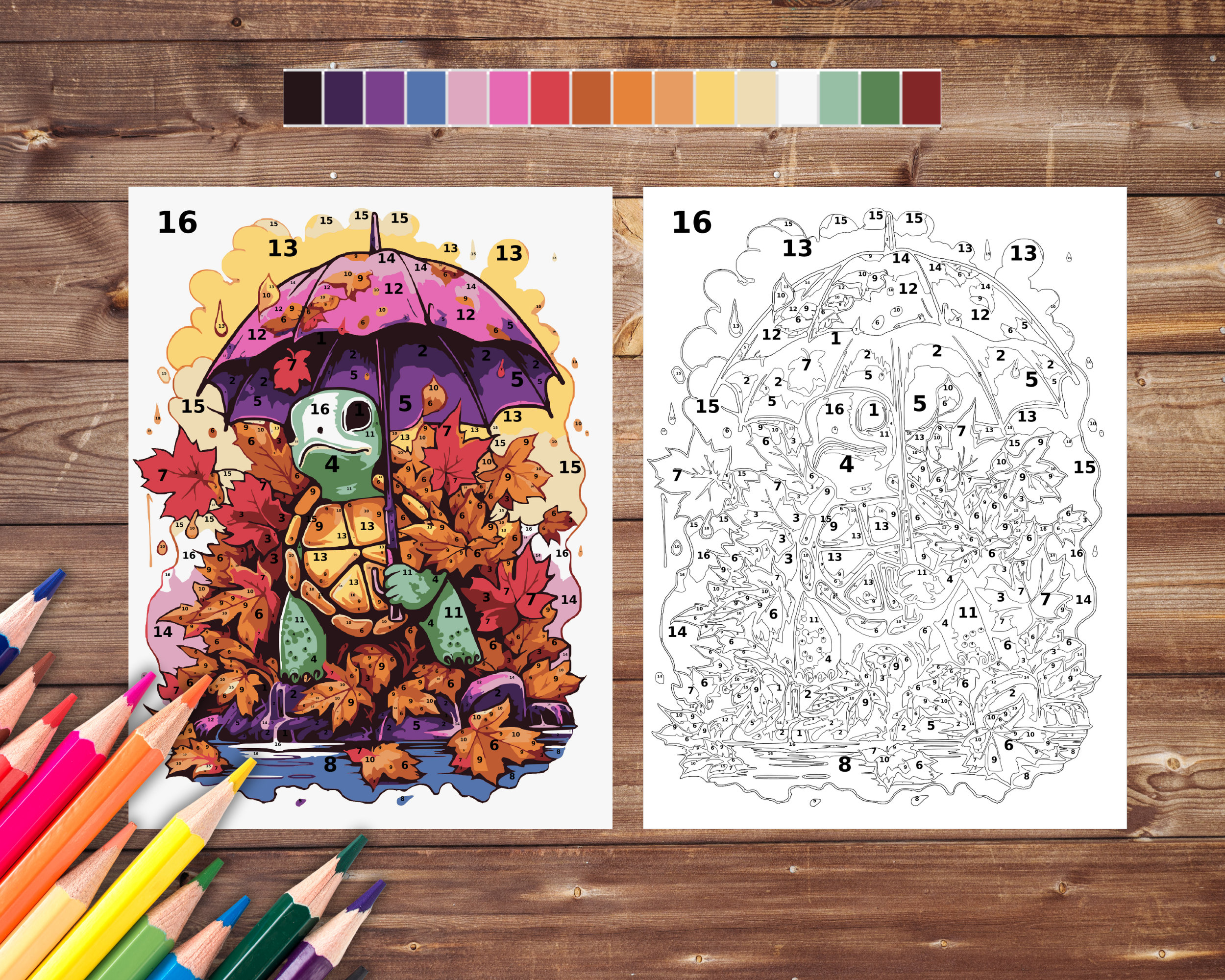 Color by Number for Adults, Turtle Paint by Number, Umbrella, Printable ...