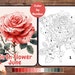 June Birth Flower Color by Number, Rose Paint by Number for Adult ...