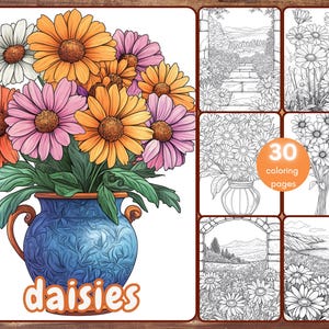 30 Daisies Coloring Book, Grayscale Daisy Coloring Pages for Adults and ...