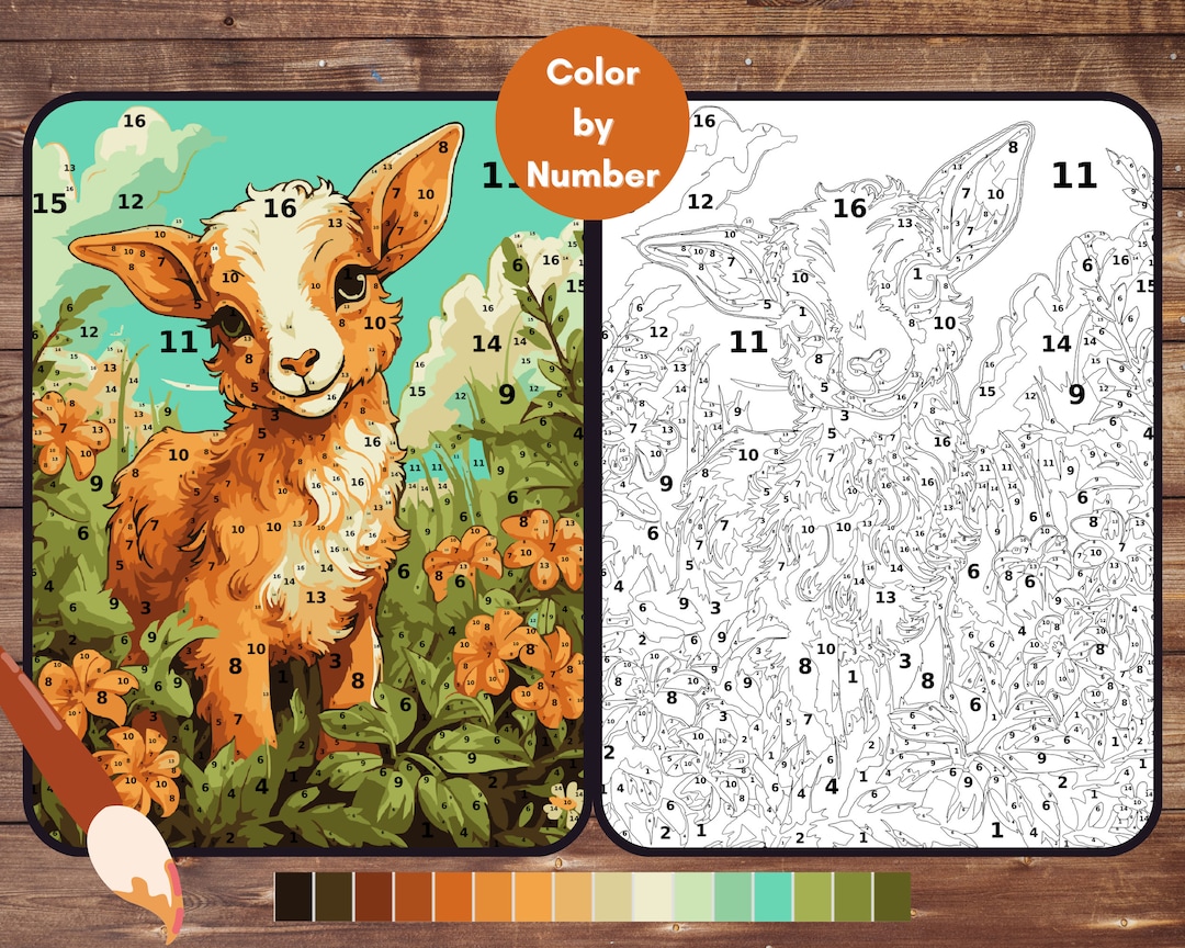 Cute Goat Paint by Number, Farm Animal Color by Number for Adults ...